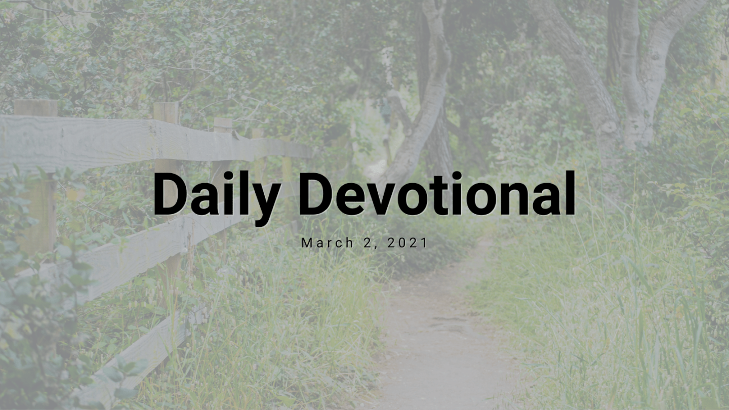 Christ Our Companion