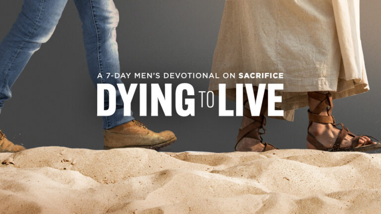 You Are Perfect Forever